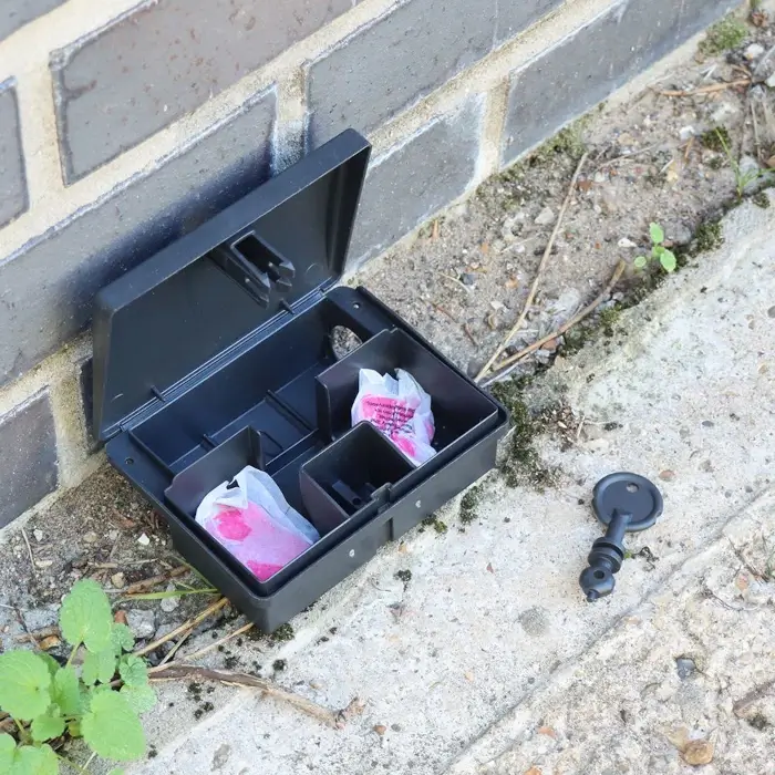 Mice Pest Control - Bravo Pest Control
